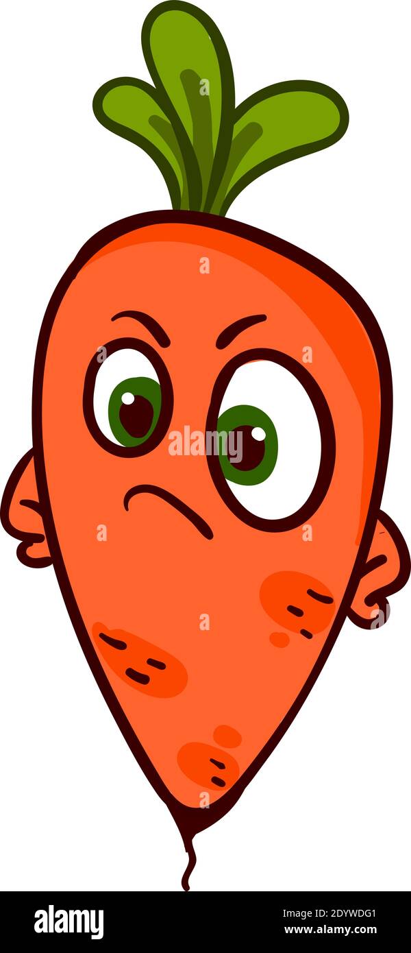 Angry carrot, illustration, vector on a white background Stock Vector ...