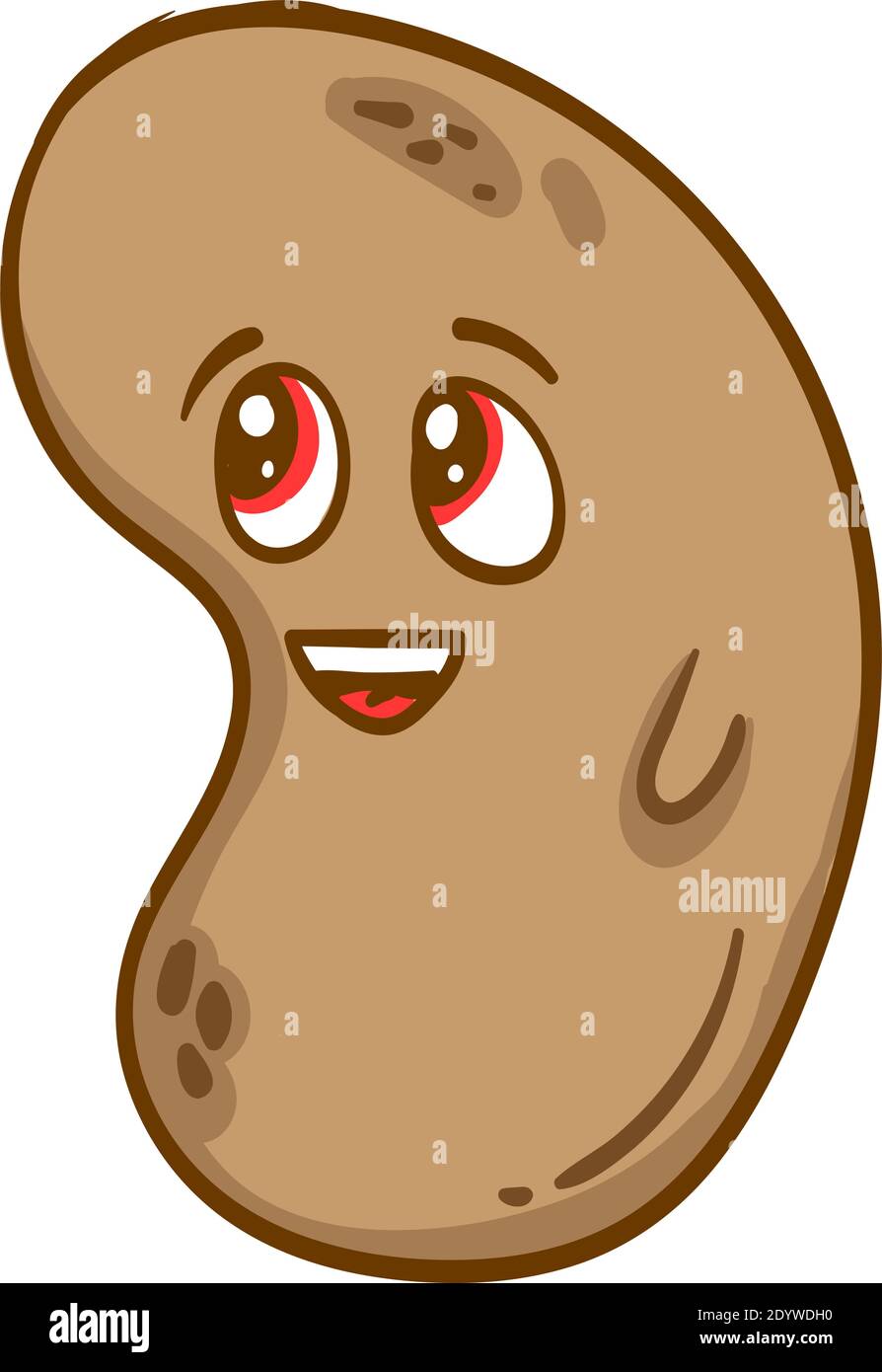 Cashew nut fruit on Stock Vector Images - Alamy