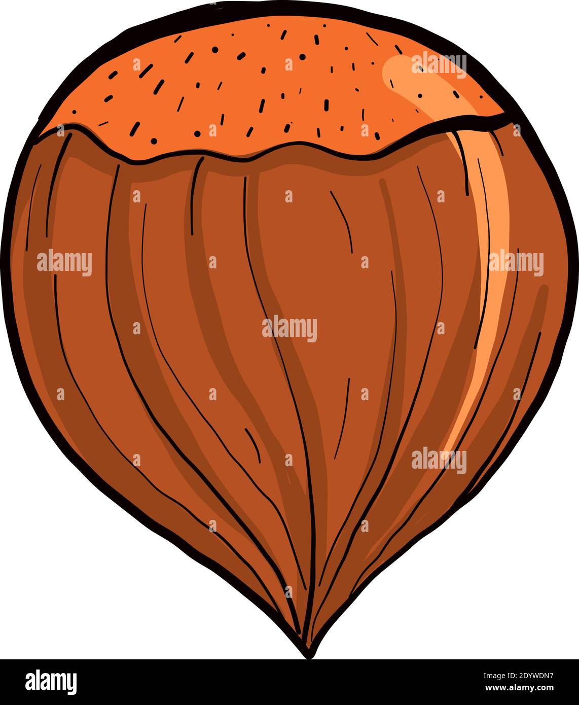 Chestnut tree fruit Stock Vector Images - Alamy