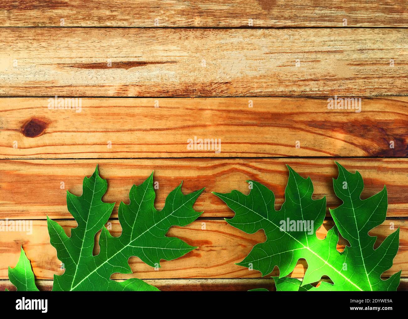 Green leaf on wood table background Stock Photo - Alamy