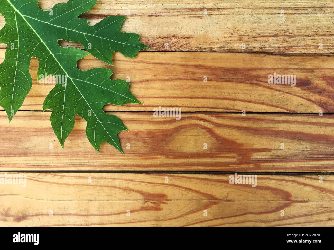 Green leaf on wood table background Stock Photo - Alamy