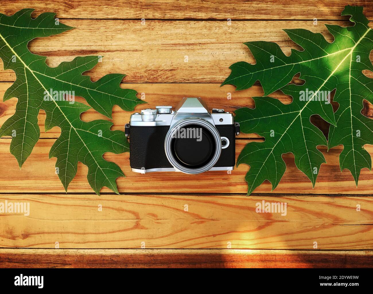 Camera and Green leaf on wood table background Stock Photo - Alamy