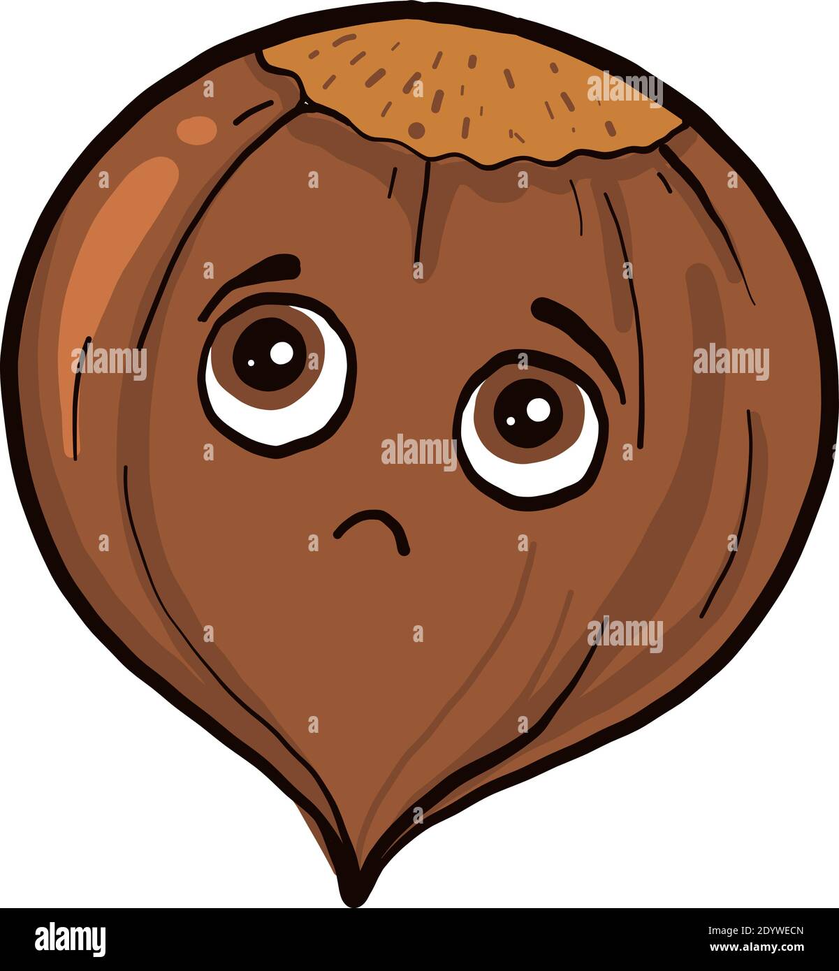 Chestnuts vector vectors Stock Vector Images - Alamy