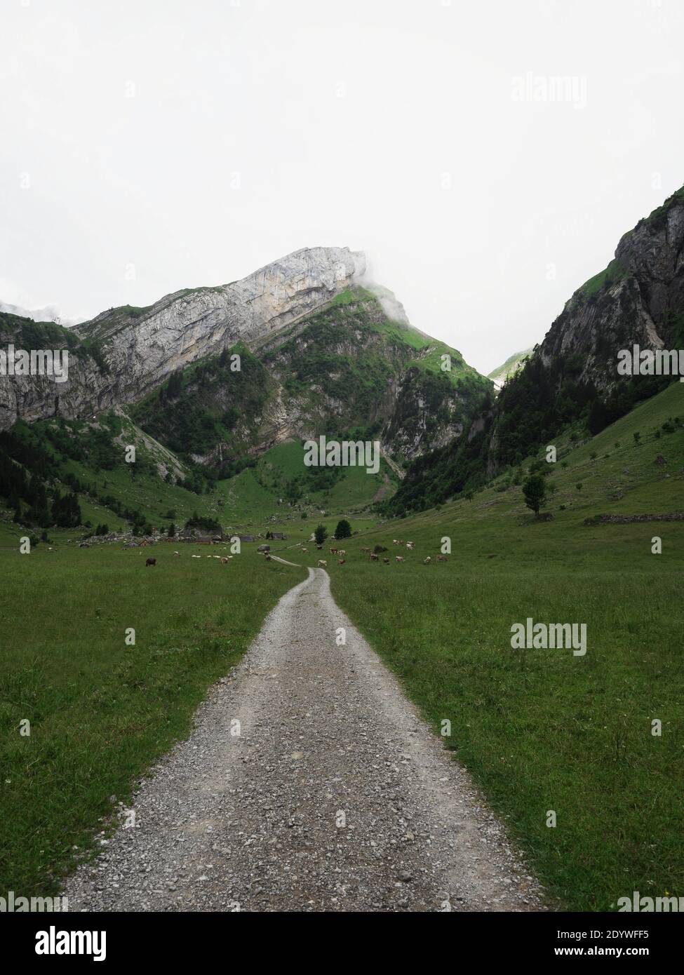 Hiking trail path at lake Seealpsee in Alpstein swiss alps Appenzell ...