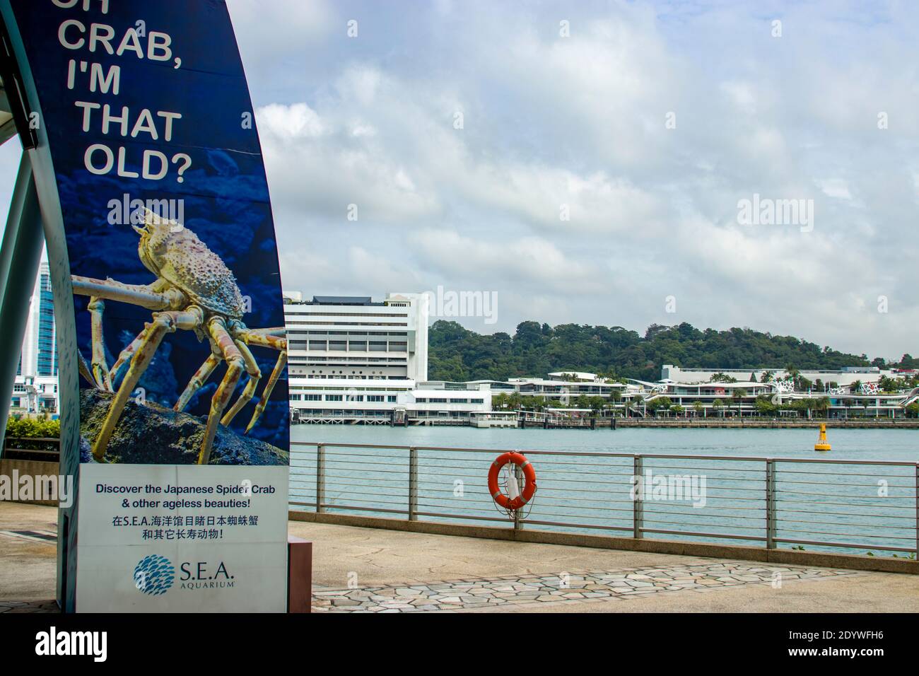 the view of S.E.A Aquarium and bay of Sentosa singapore. Home to more ...