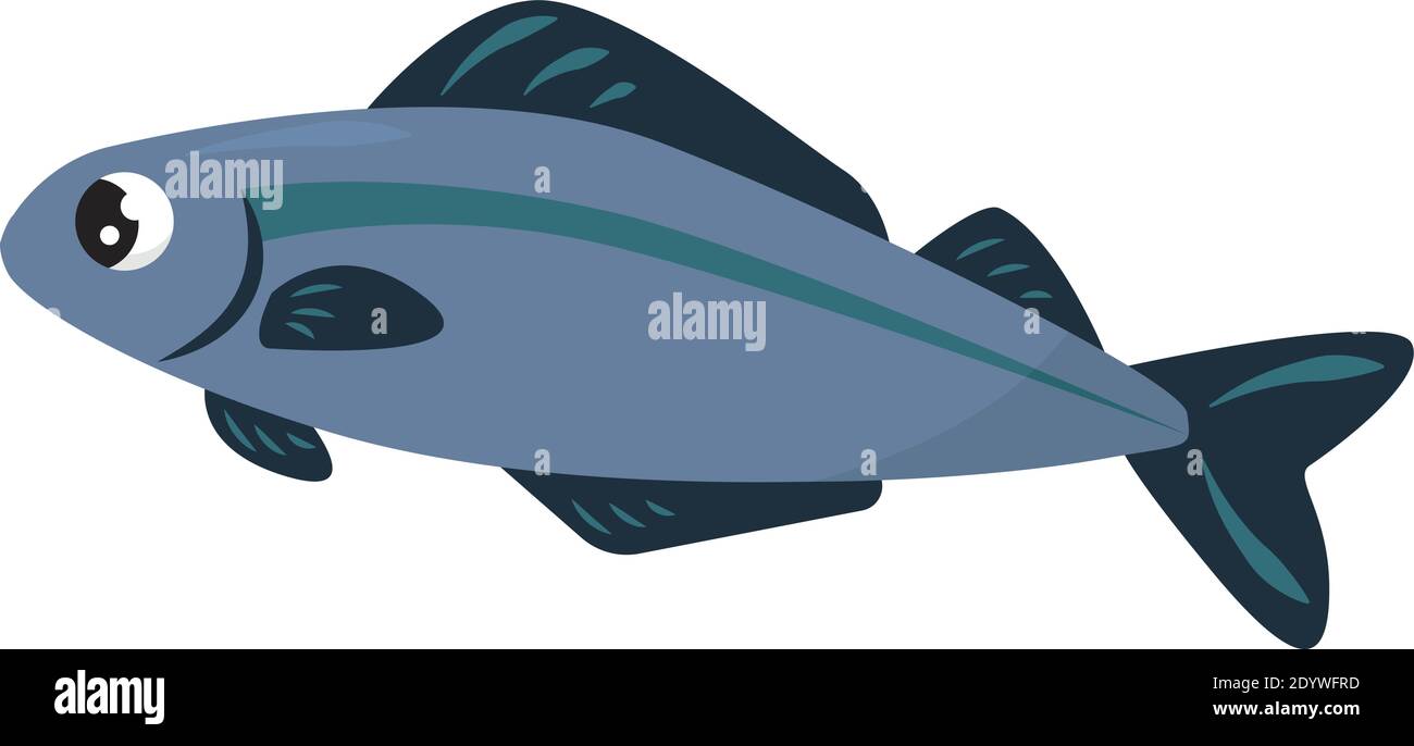 Blue fish, illustration, vector on a white background Stock Vector ...