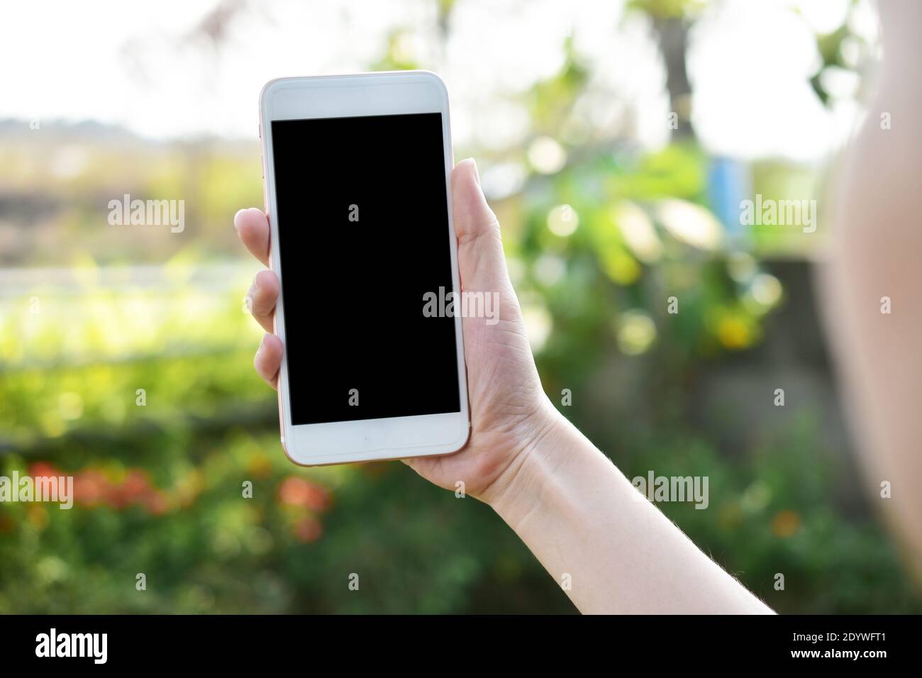 Hand holding mobile smart phone Stock Photo - Alamy
