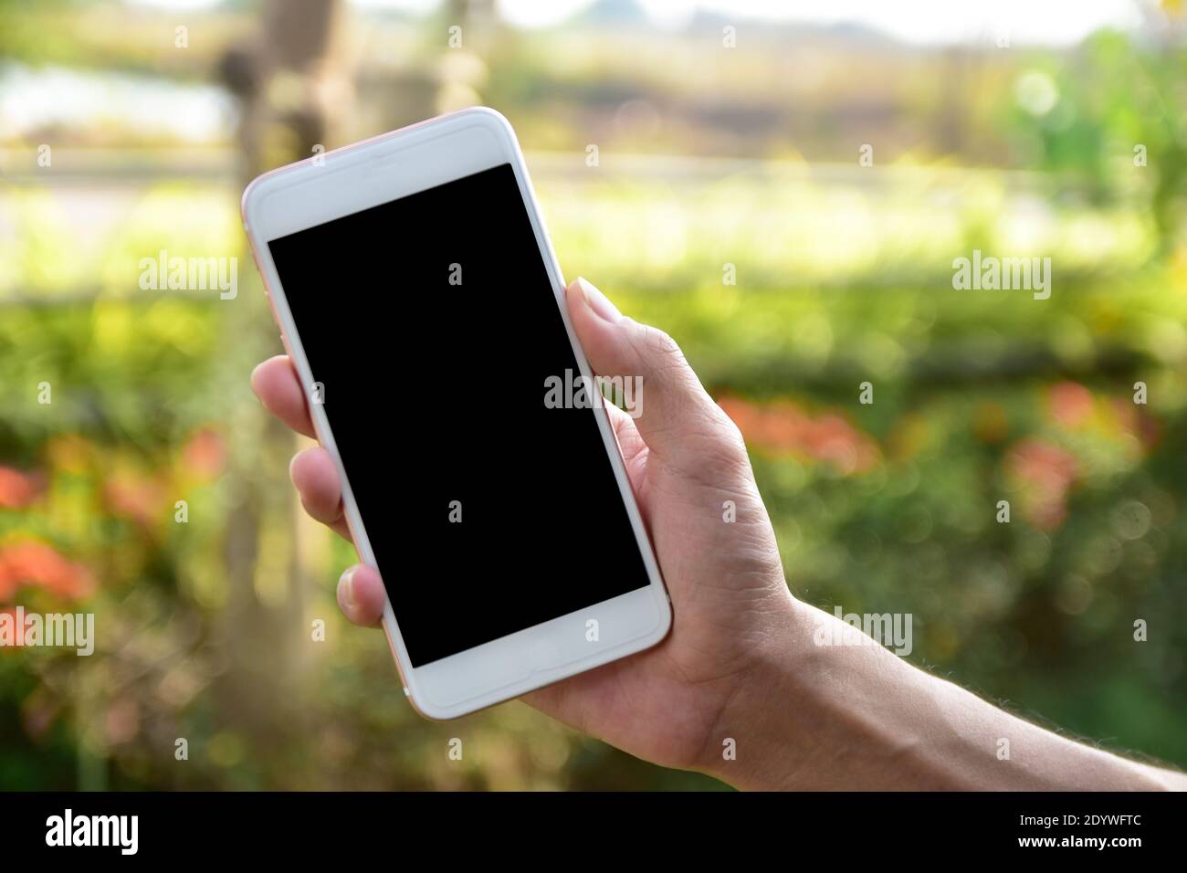 Hand holding mobile smart phone Stock Photo - Alamy
