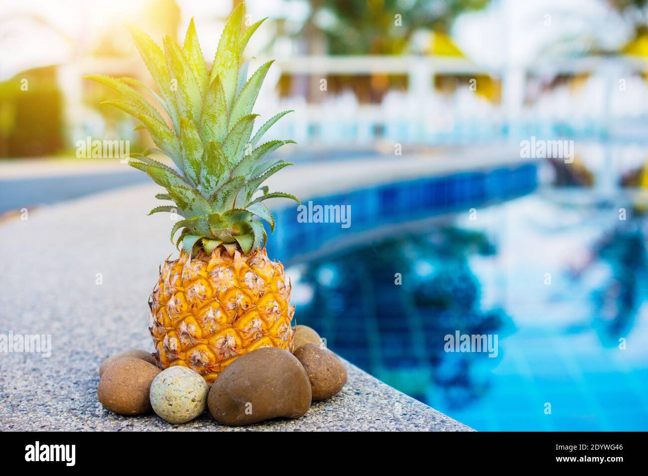 Pineapple is on swimming pool summer background Stock Photo - Alamy