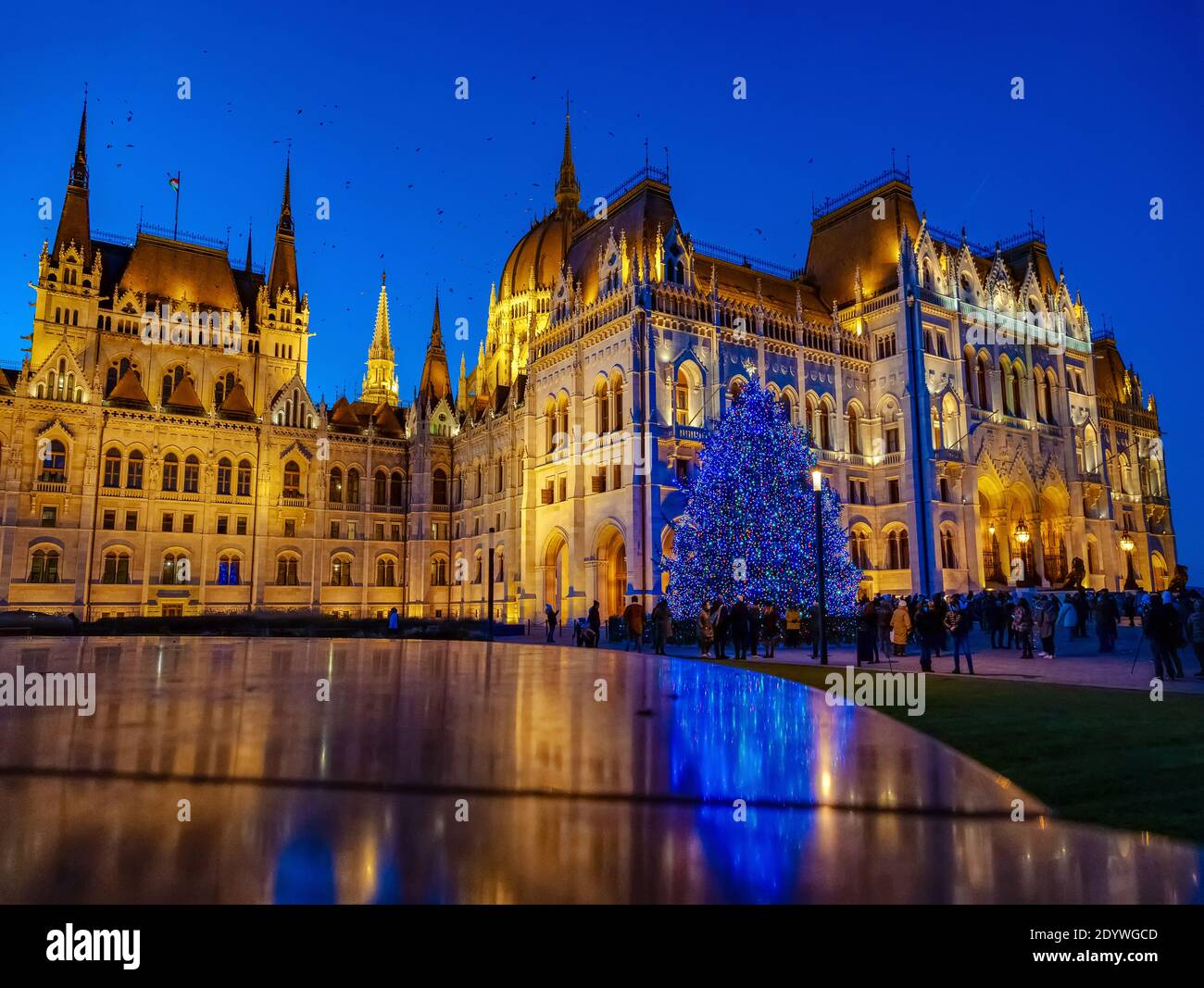 Building of Hungarian Parliament in Budapest at night, with blue ...