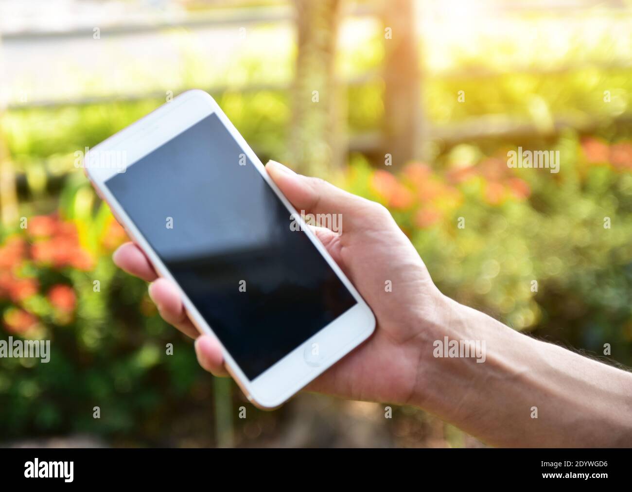 People holding mobile smart phone using smart application by internet ...