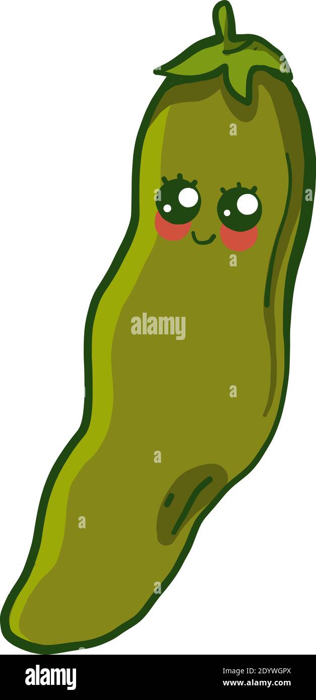 Cute green bean, illustration, vector on a white background Stock ...