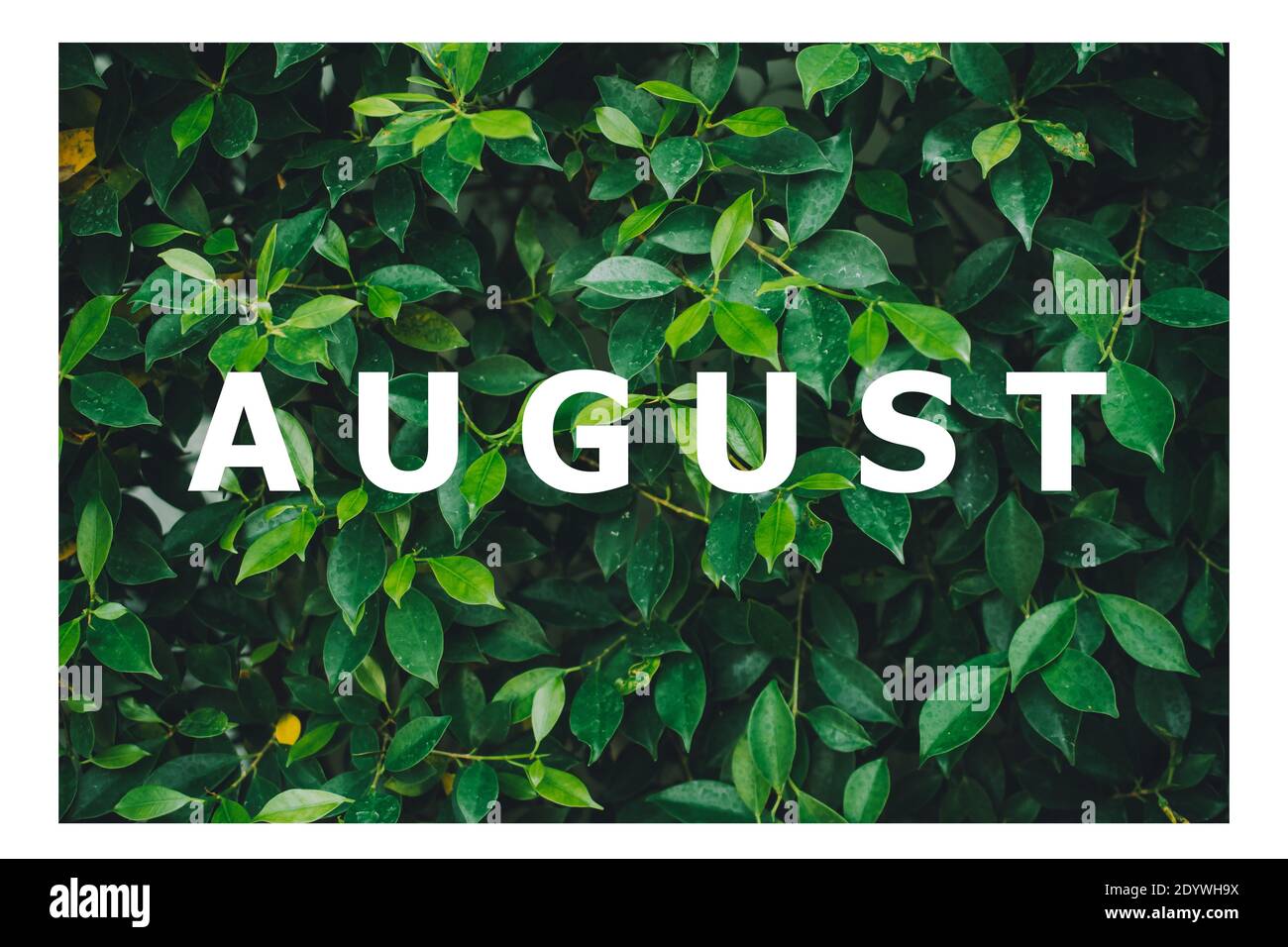 Calendar Months High Resolution Stock Photography and Images - Alamy