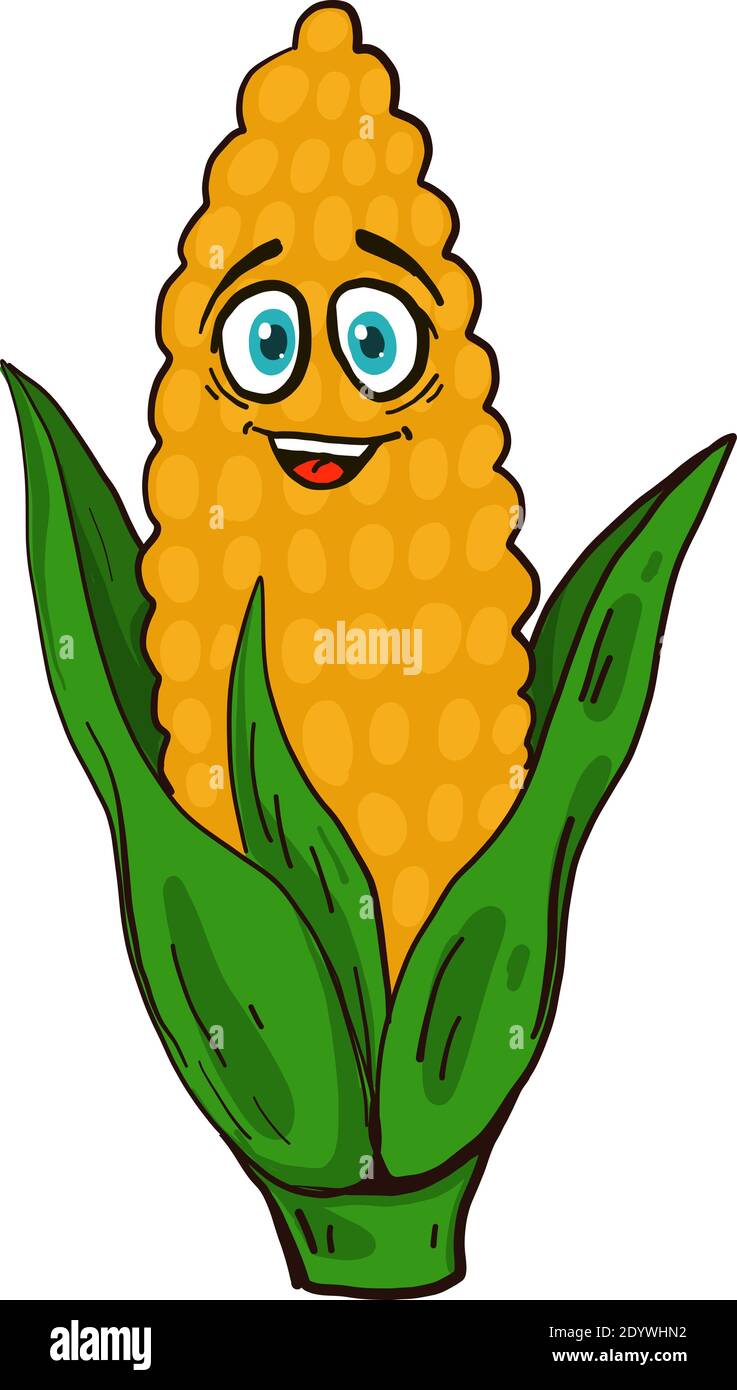 Happy yellow corn, illustration, vector on a white background Stock ...