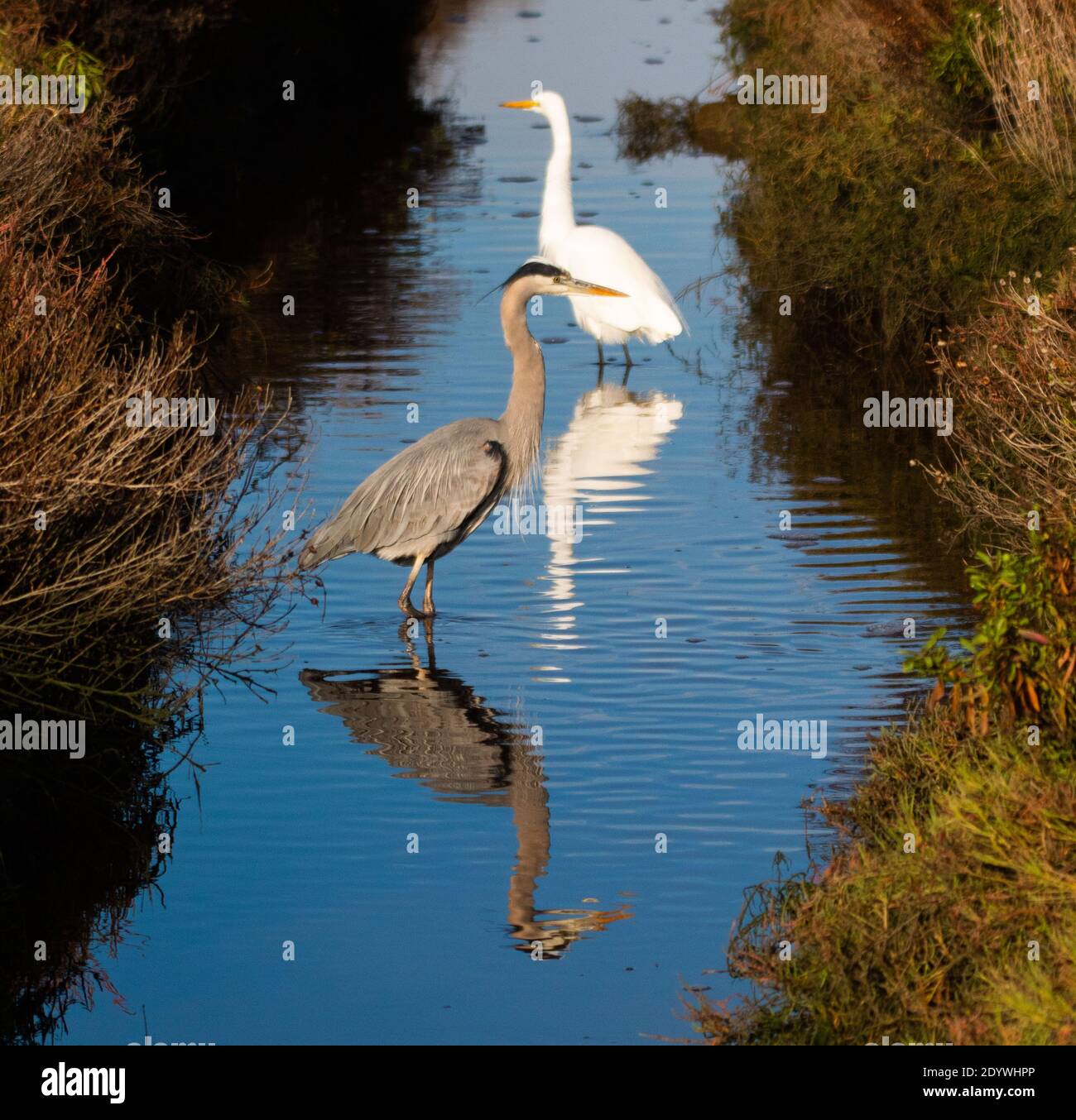 Sharing space hi-res stock photography and images - Alamy