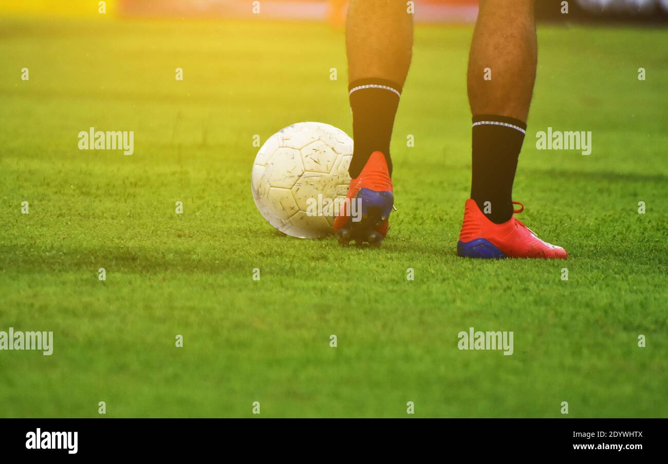 people are playing soccer football in glass field in morning Stock ...
