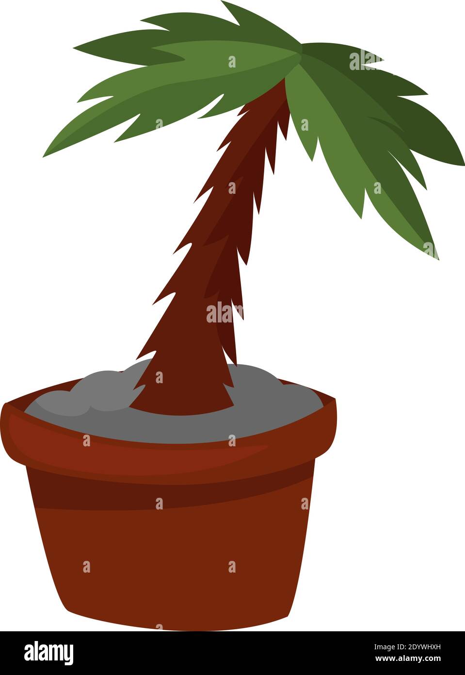 Palm in the pot, illustration, vector on a white background Stock ...