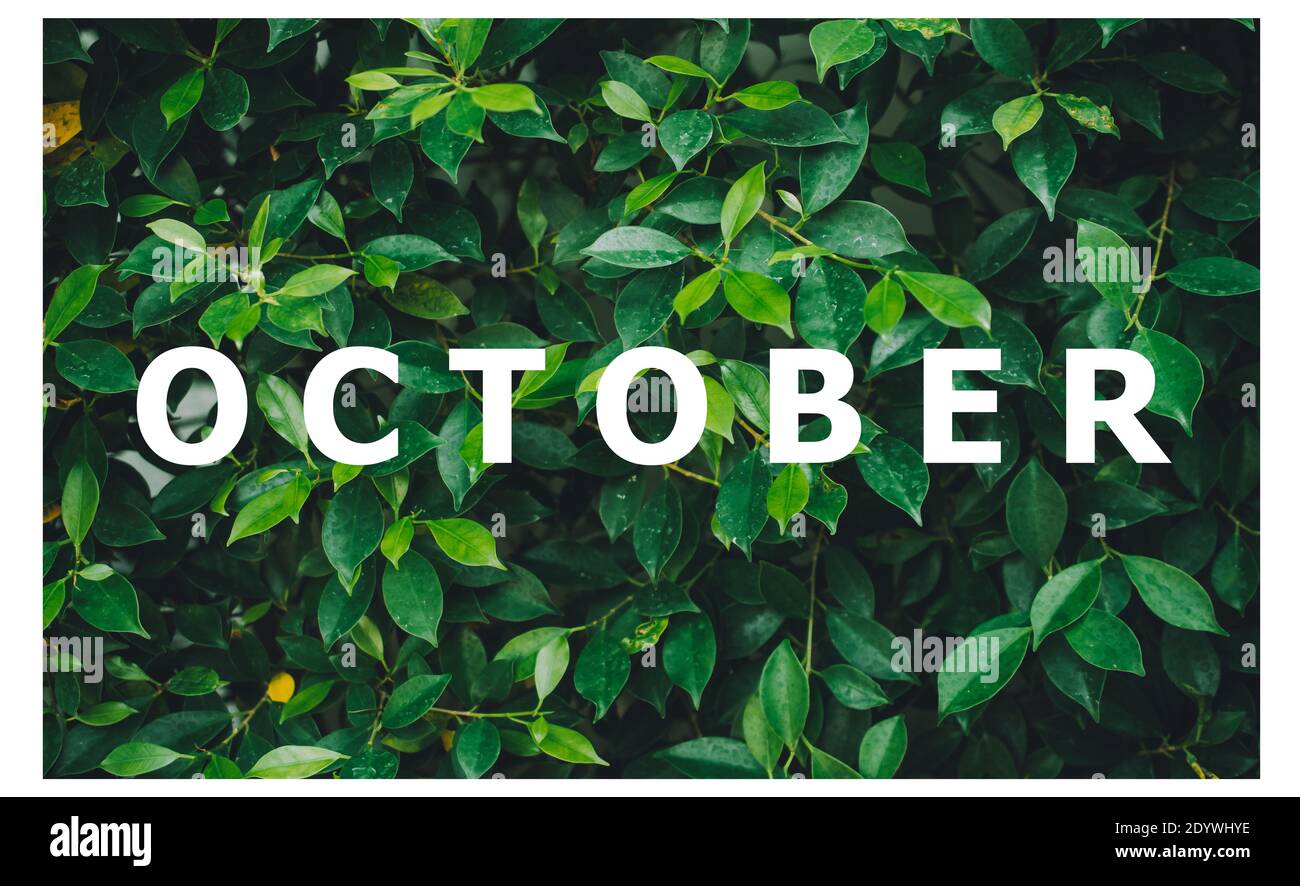 List of calendar months Designed on a natural green leaf background ...