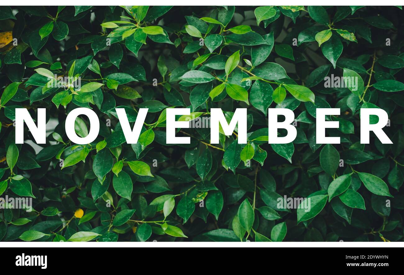 List of calendar months Designed on a natural green leaf background ...