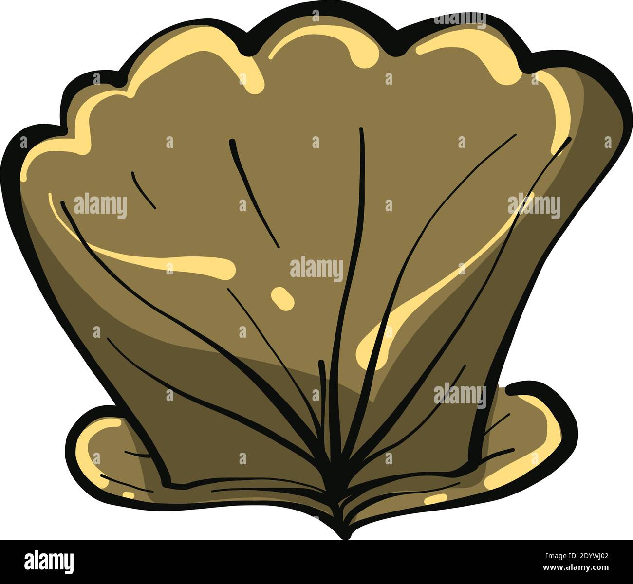 Brown shell, illustration, vector on a white background Stock Vector ...