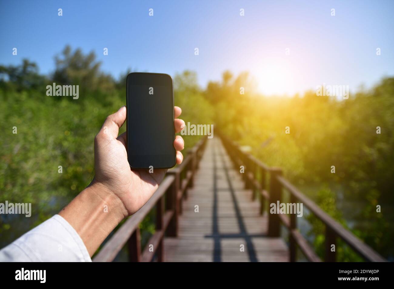 People holding mobile smart phone for using shopping online by internet ...