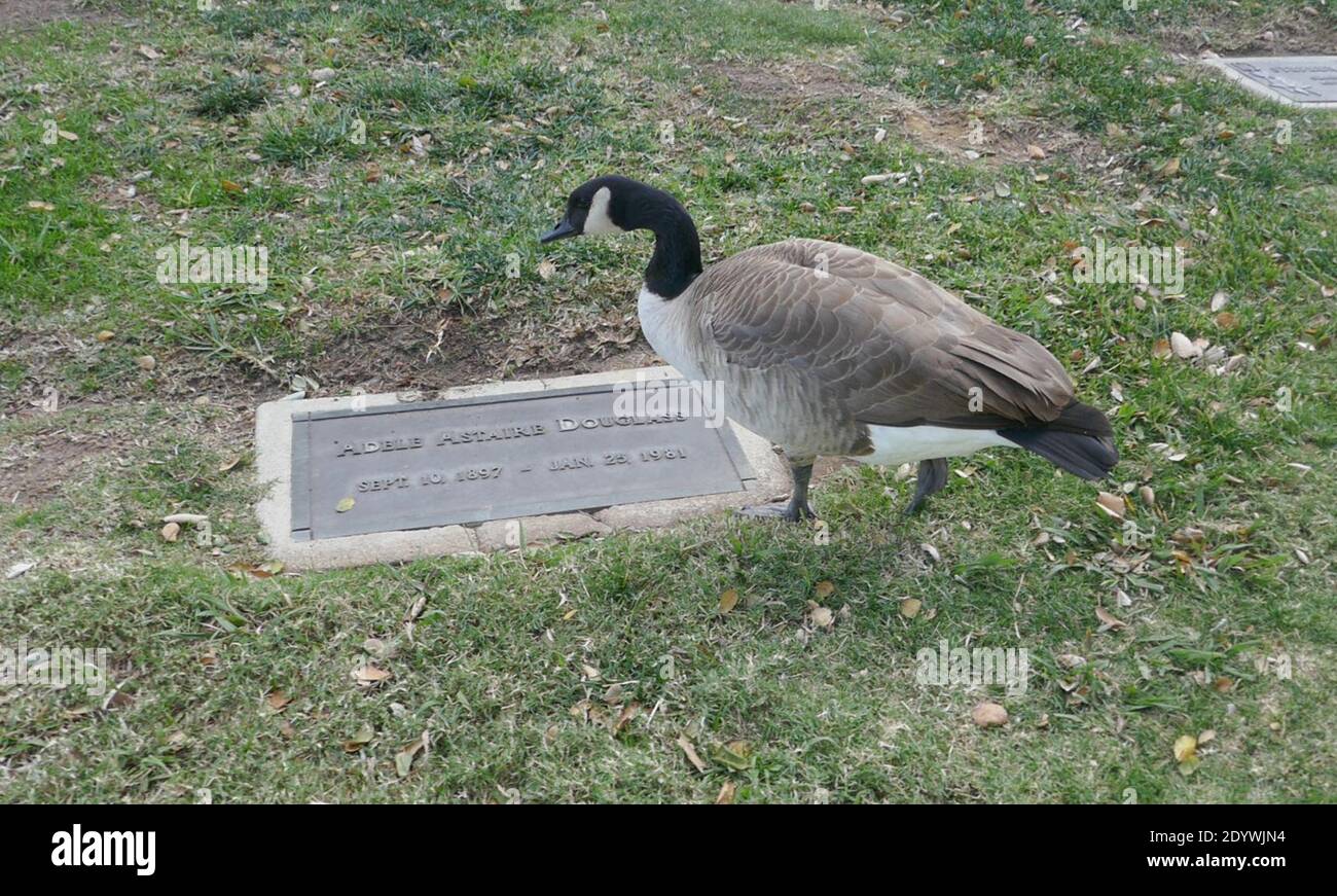 Chatsworth, California, USA 25th December 2020 A general view of atmosphere of stage actress ...