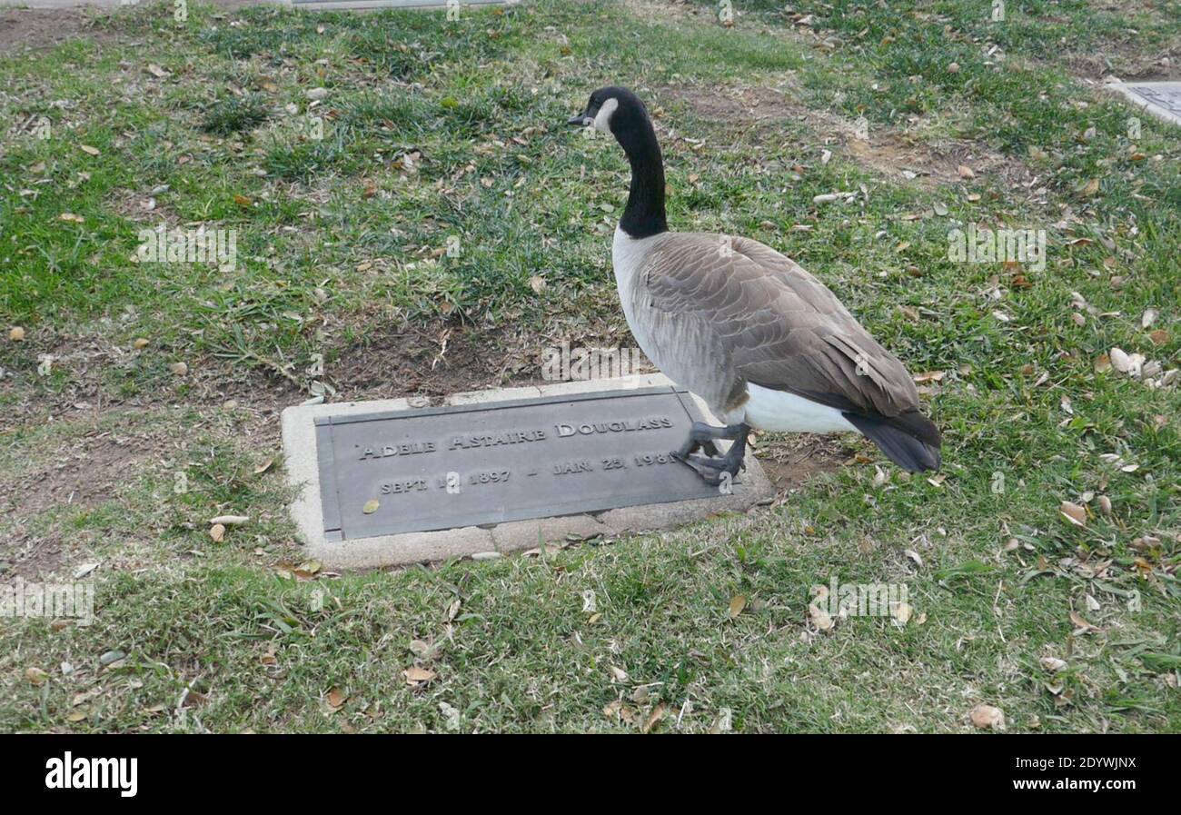 Chatsworth, California, USA 25th December 2020 A general view of atmosphere of stage actress ...