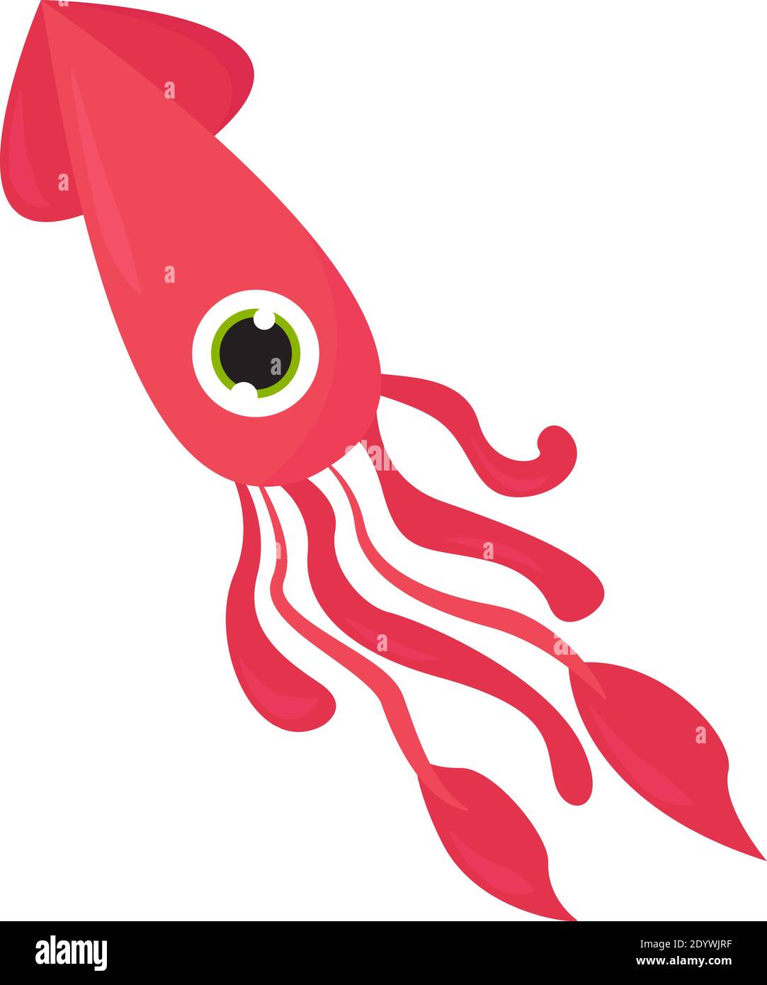 One eyed squid, illustration, vector on a white background Stock Vector ...