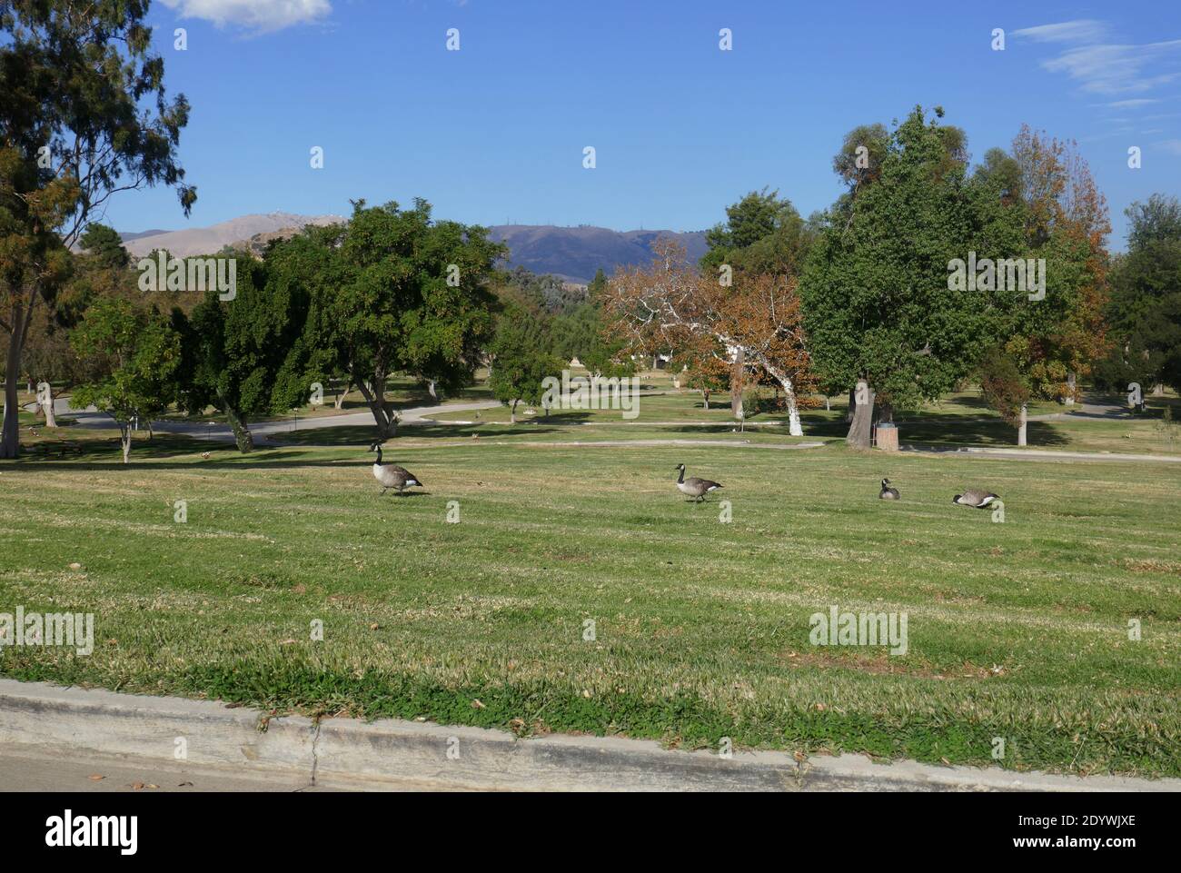 Oakwood memorial park hi-res stock photography and images - Alamy