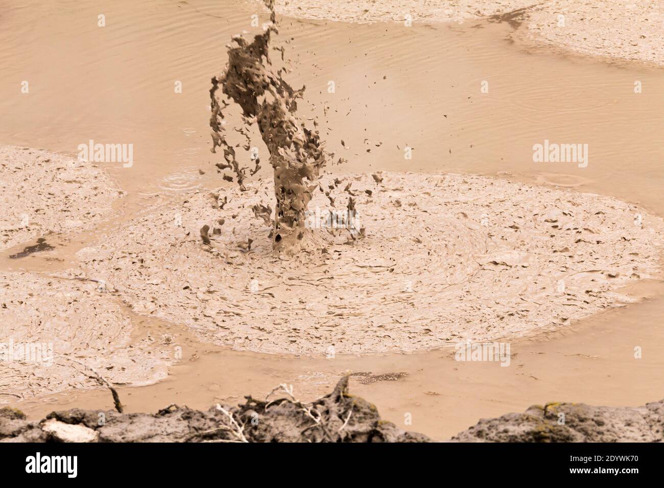 Boiling mud pool in Wai-O-Tapu thermal wonderland, Rotorua, North ...