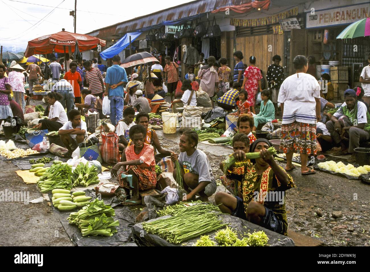 Faces in the market at Timika: big-boned, frizzy haired Melanesia nmen ...