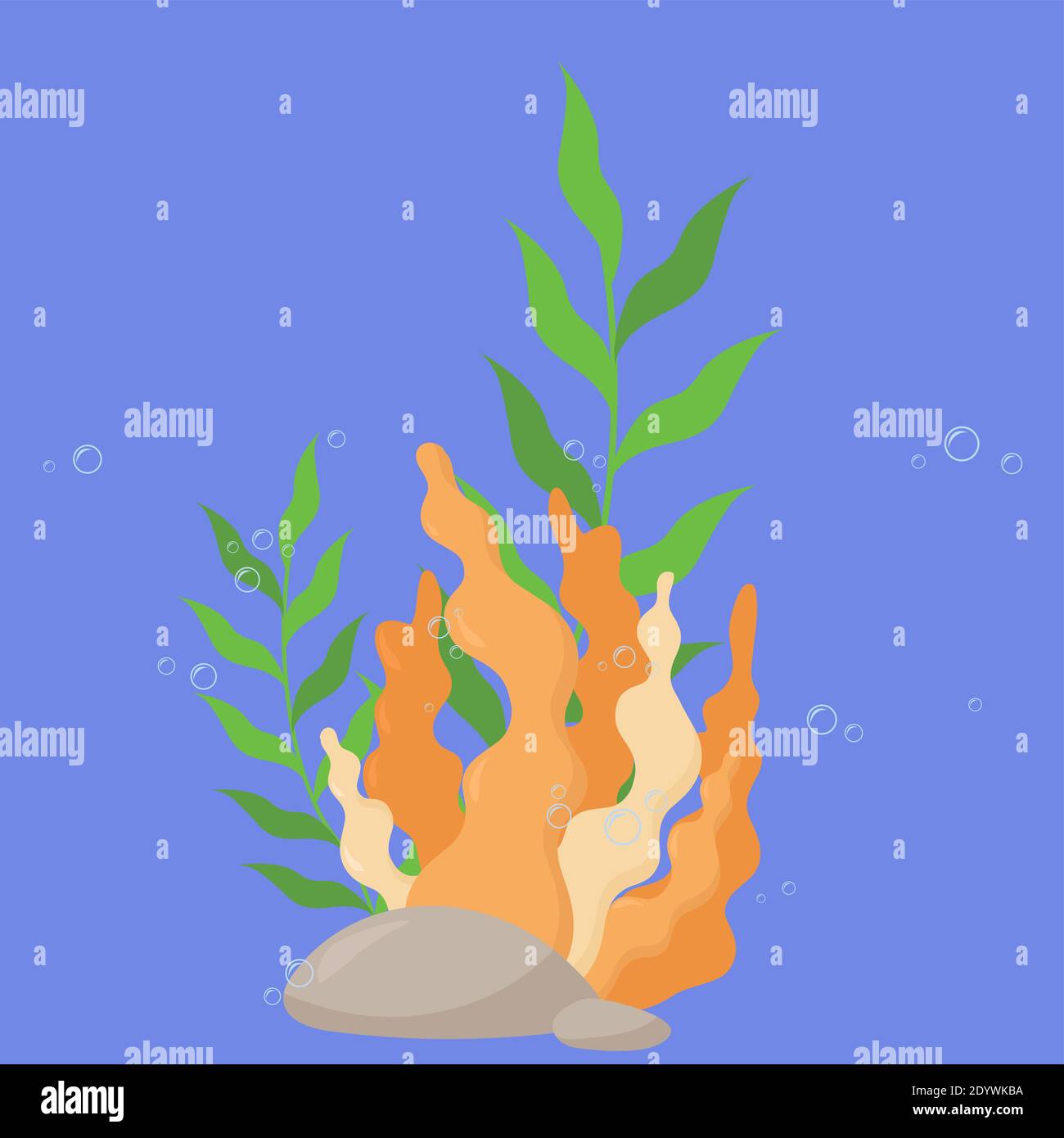 Colorful seaweed Stock Vector Images - Alamy