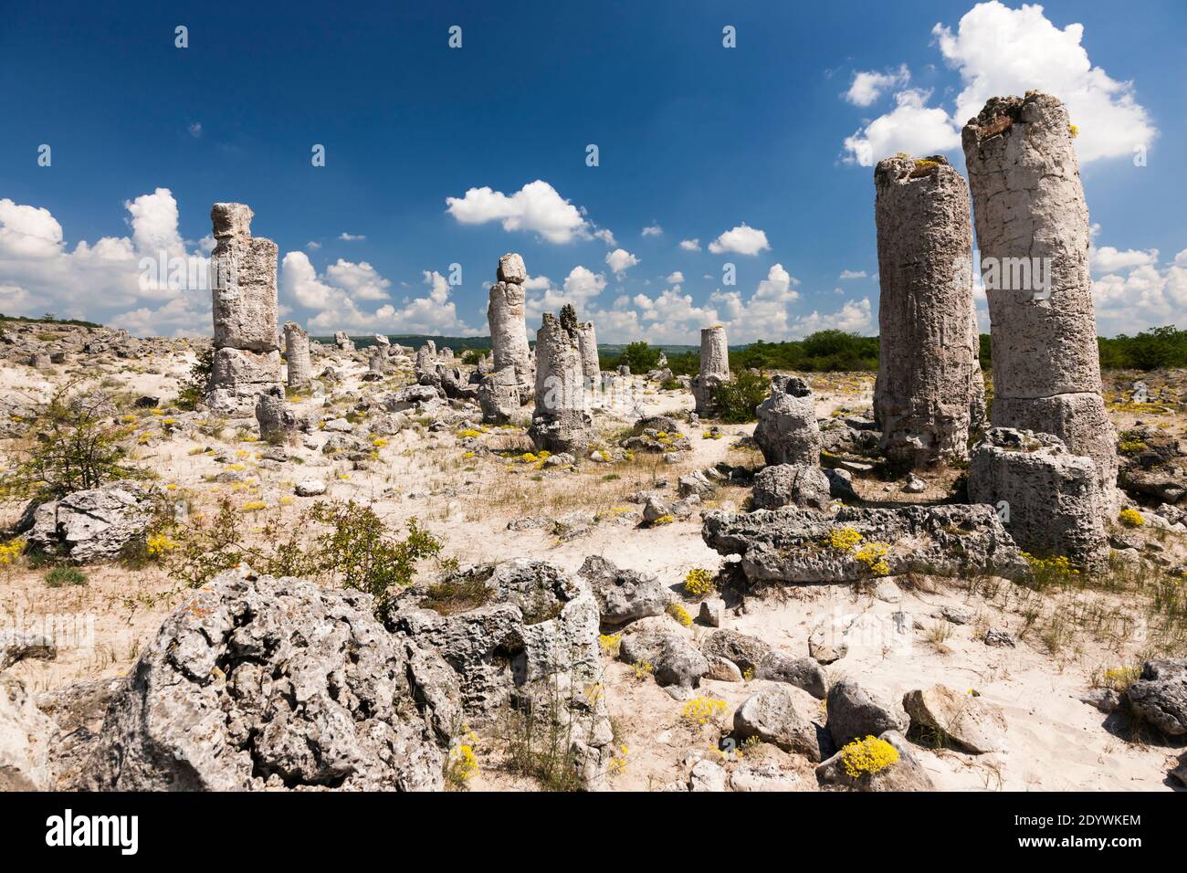 The Stone Forest, Pobiti Kamani, Dikilitash, natural stone formations ...