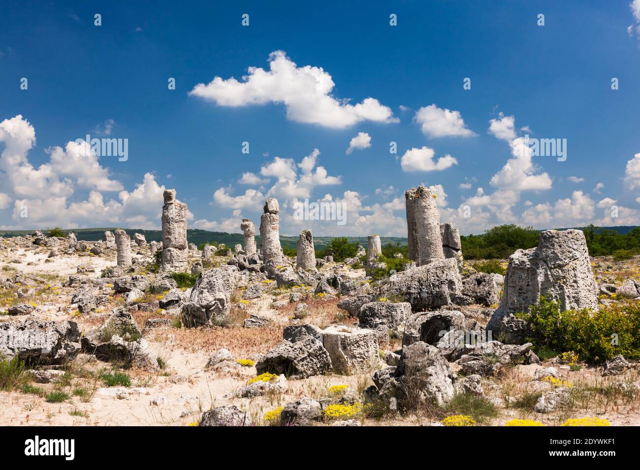 The Stone Forest, Pobiti Kamani, Dikilitash, natural stone formations ...
