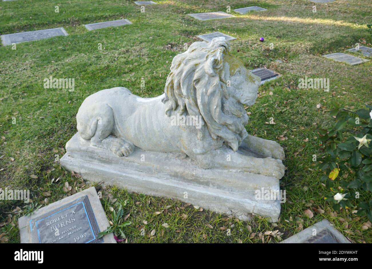 Chatsworth, California, USA 25th December 2020 A general view of Lion at Oakwood Memorial Park ...
