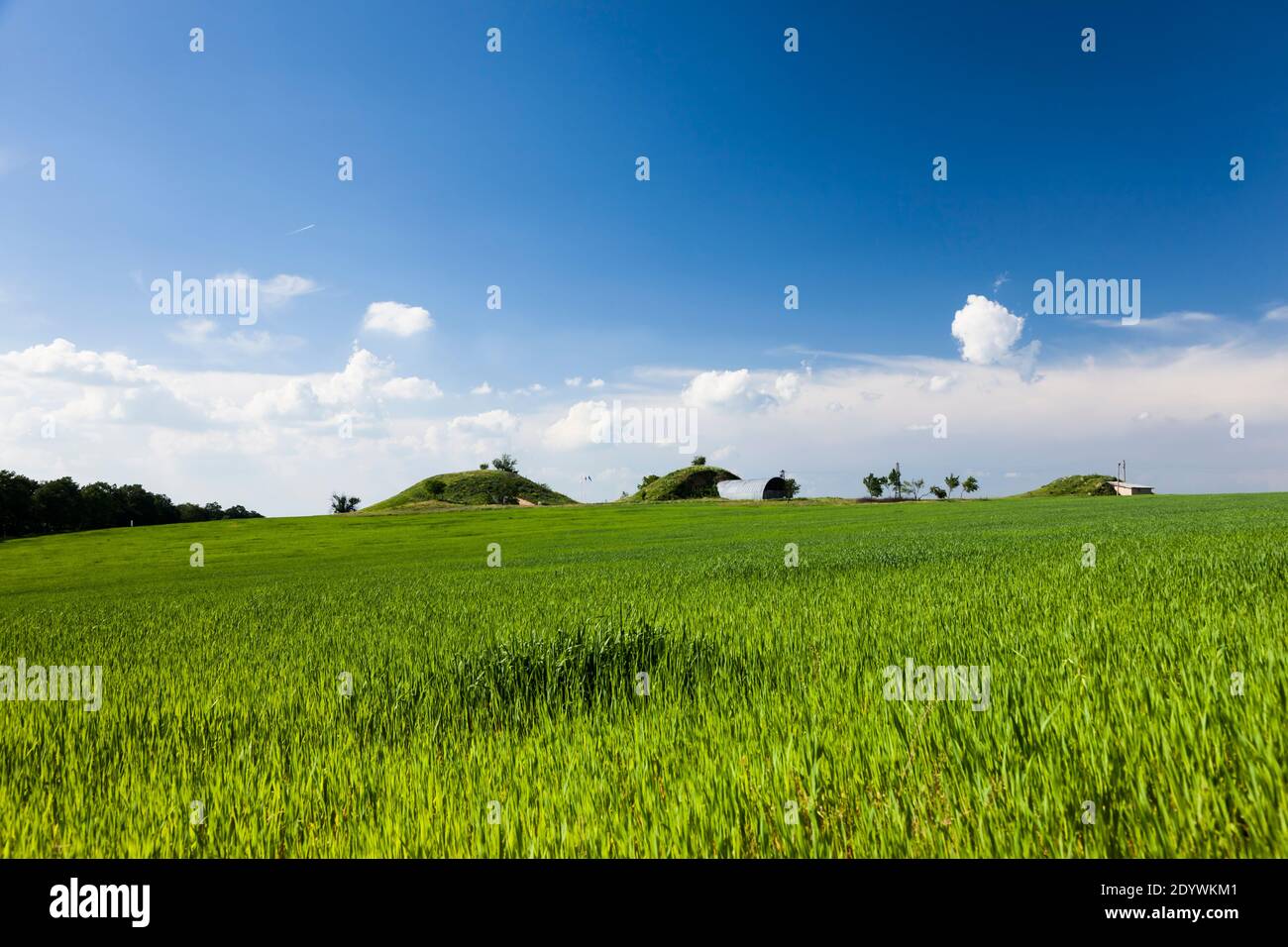 Distant view of Thracian Tomb of Sveshtari, hill-like tumulus, 3rd ...