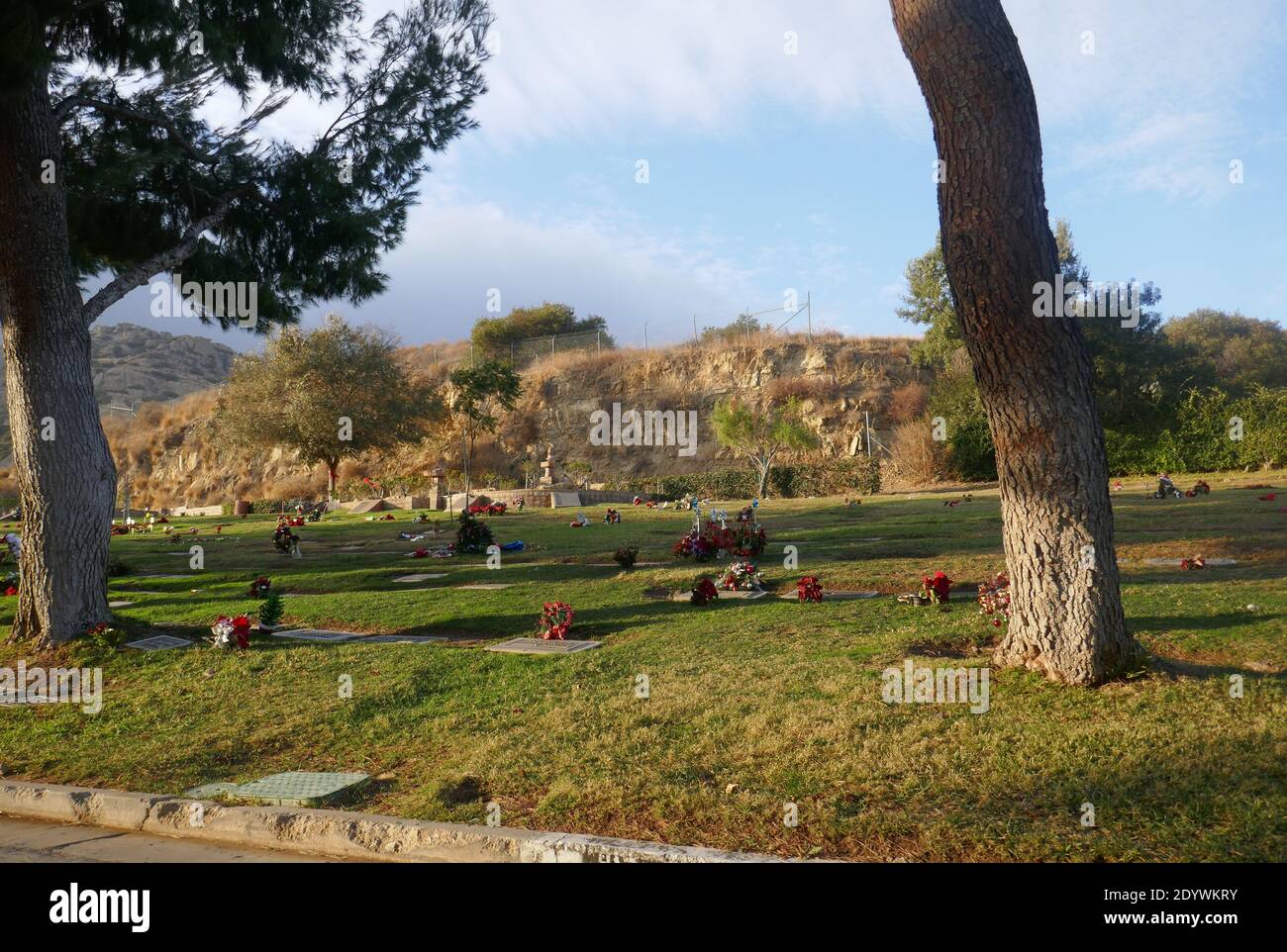 Chatsworth, California, USA 25th December 2020 A general view of Oakwood Memorial Park and ...