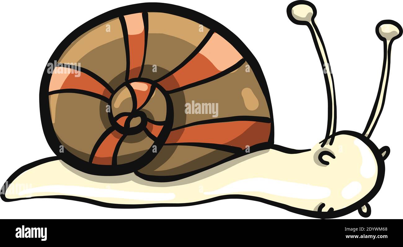 Small snail, illustration, vector on a white background Stock Vector ...