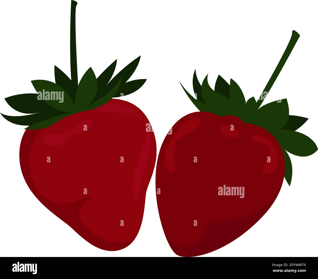 Two red strawberries, illustration, vector on a white background Stock ...