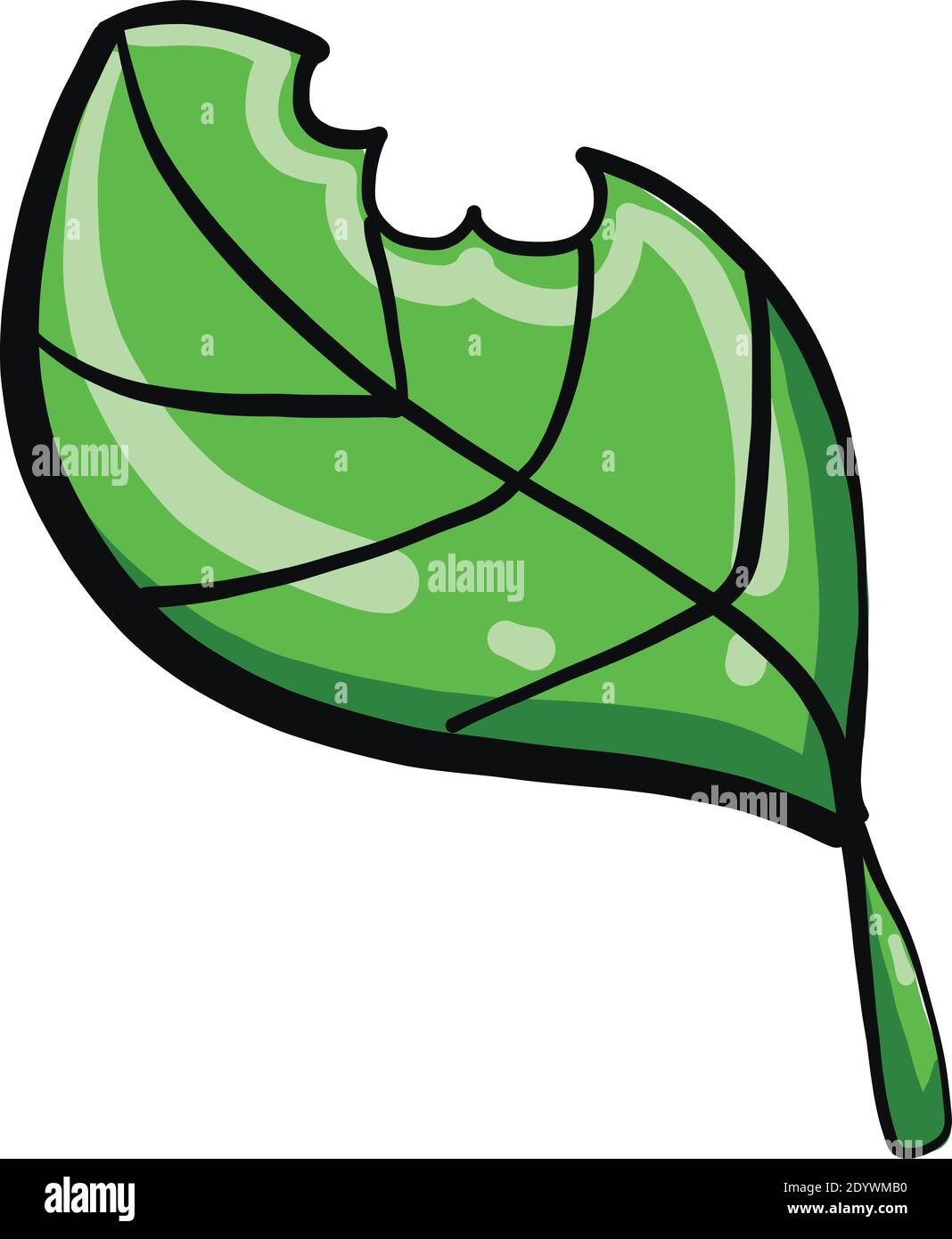 Bitten leaf, illustration, vector on a white background Stock Vector ...