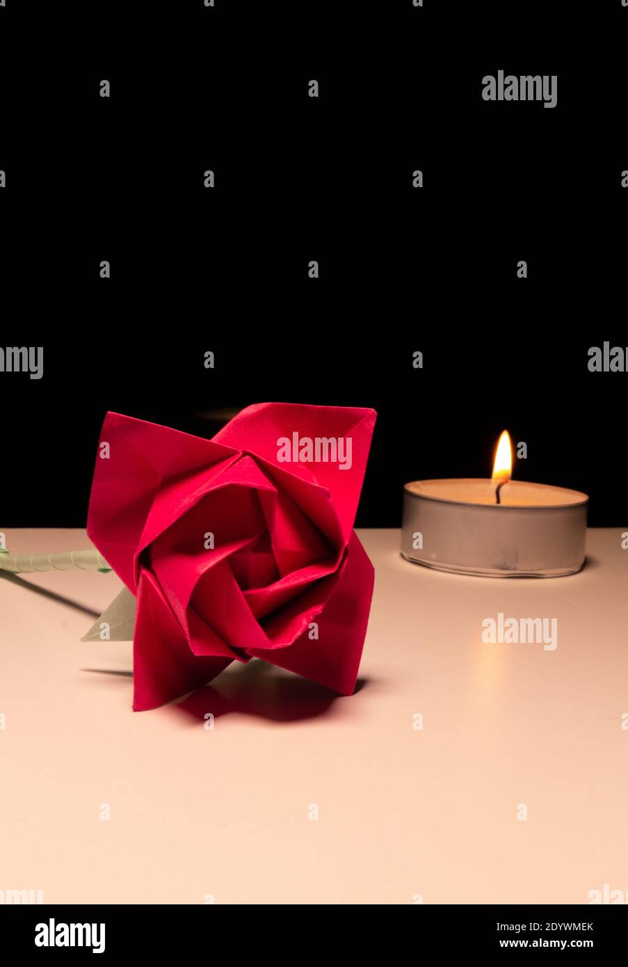 Midnight rose flower hi-res stock photography and images - Alamy