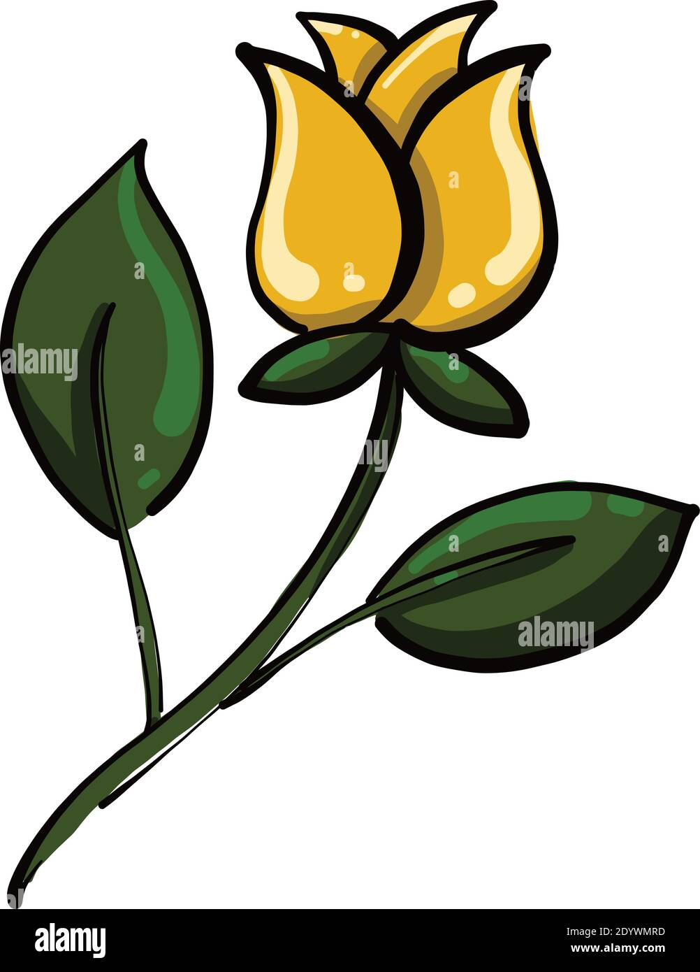 Yellow rose, illustration, vector on a white background Stock Vector ...