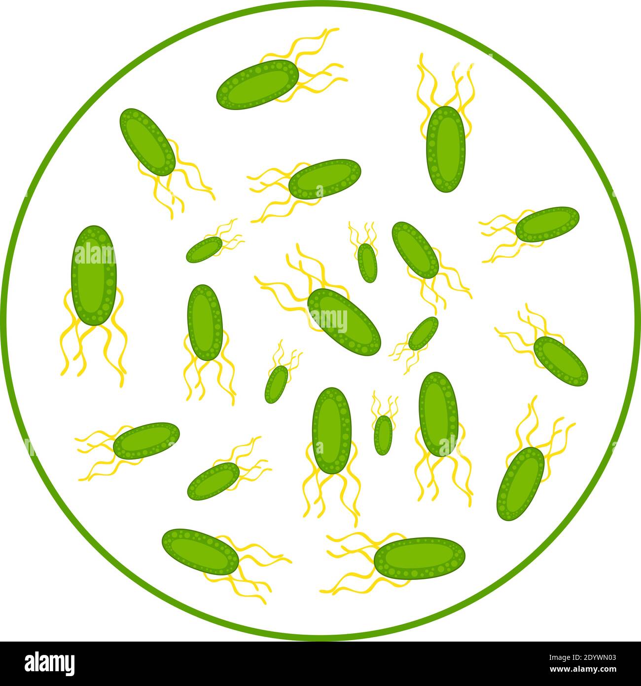 Dangerous bacteria Stock Vector Images - Alamy