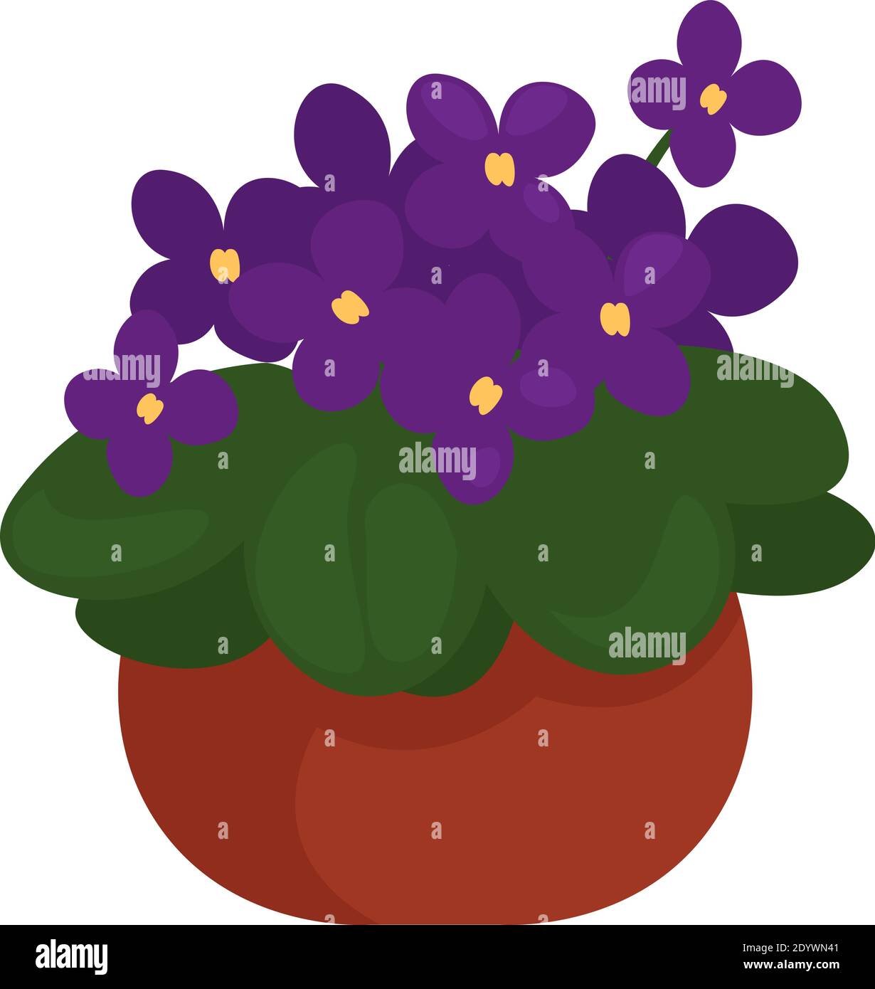 Violets flower, illustration Stock Vector Images - Alamy