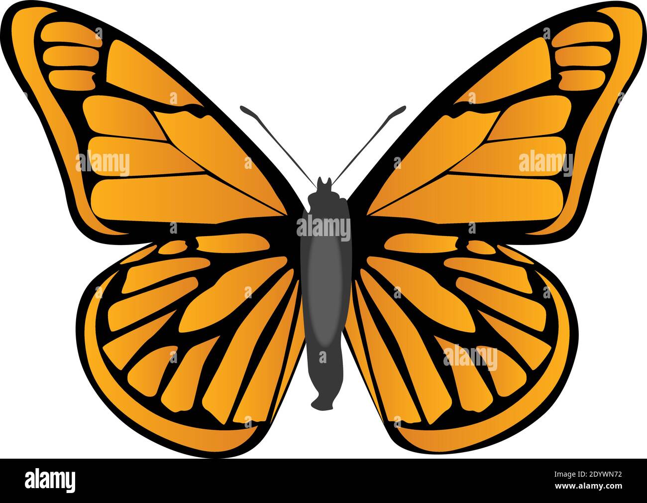 Orange butterfly, illustration, vector on a white background Stock ...
