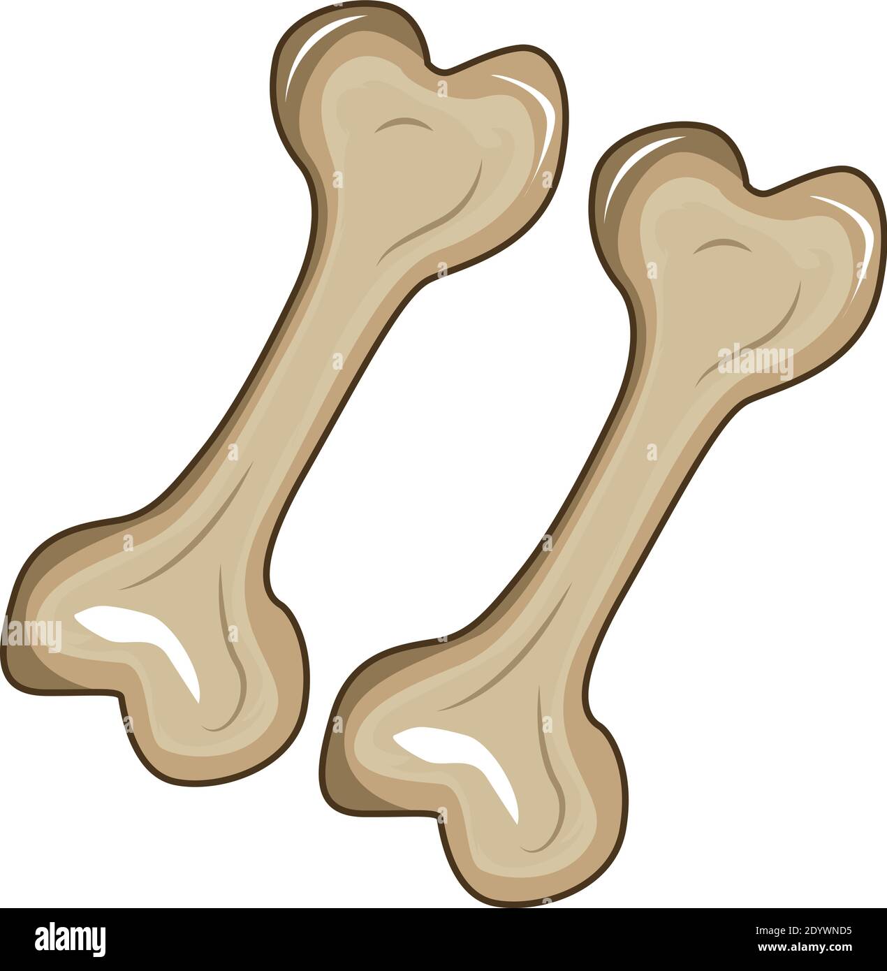 Two small bones, illustration, vector on a white background Stock ...