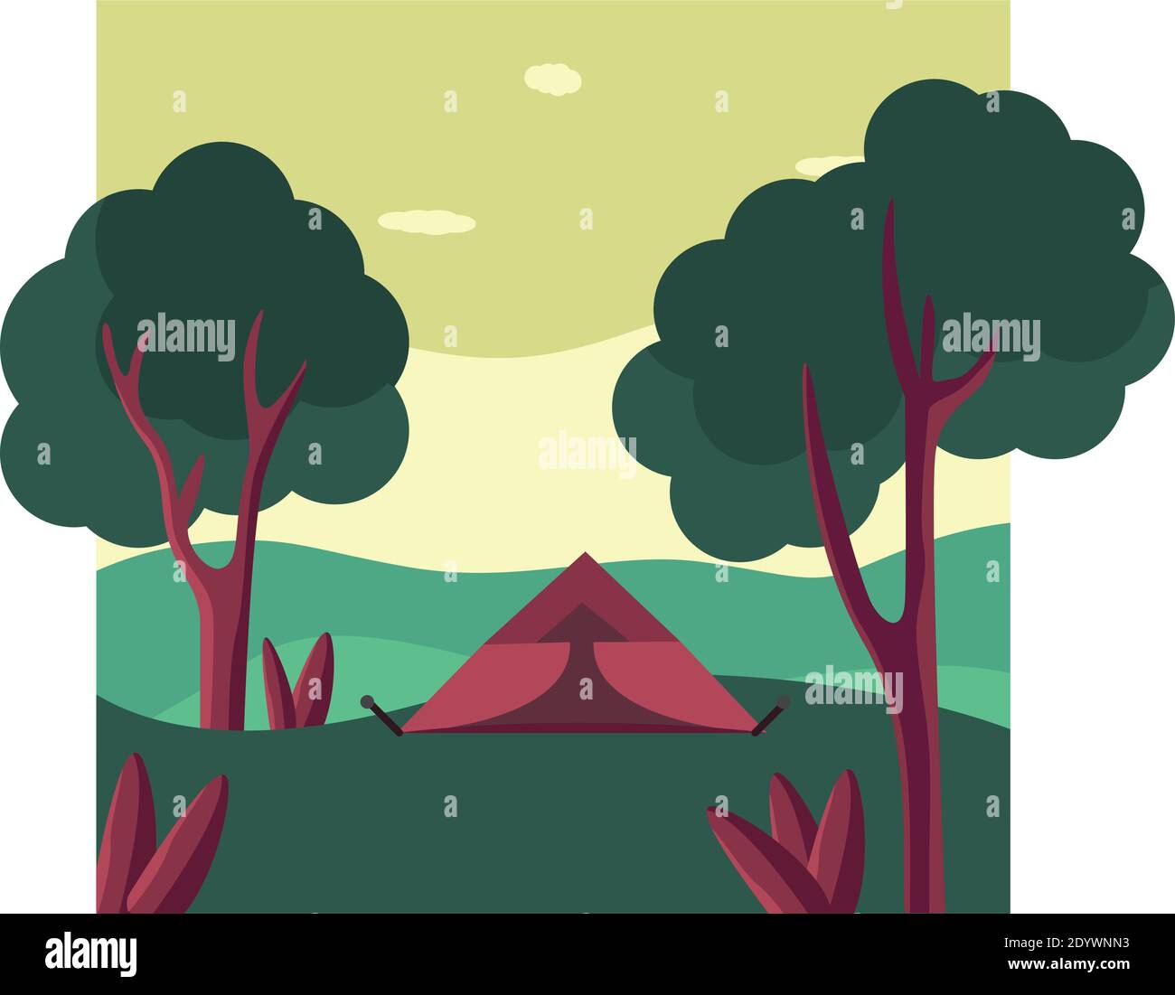 Camping in forest, illustration, vector on a white background Stock ...