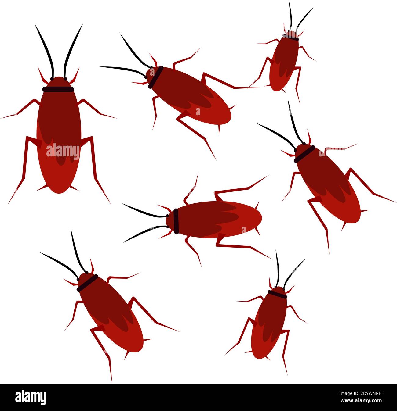 Small cockroaches, illustration, vector on a white background Stock ...