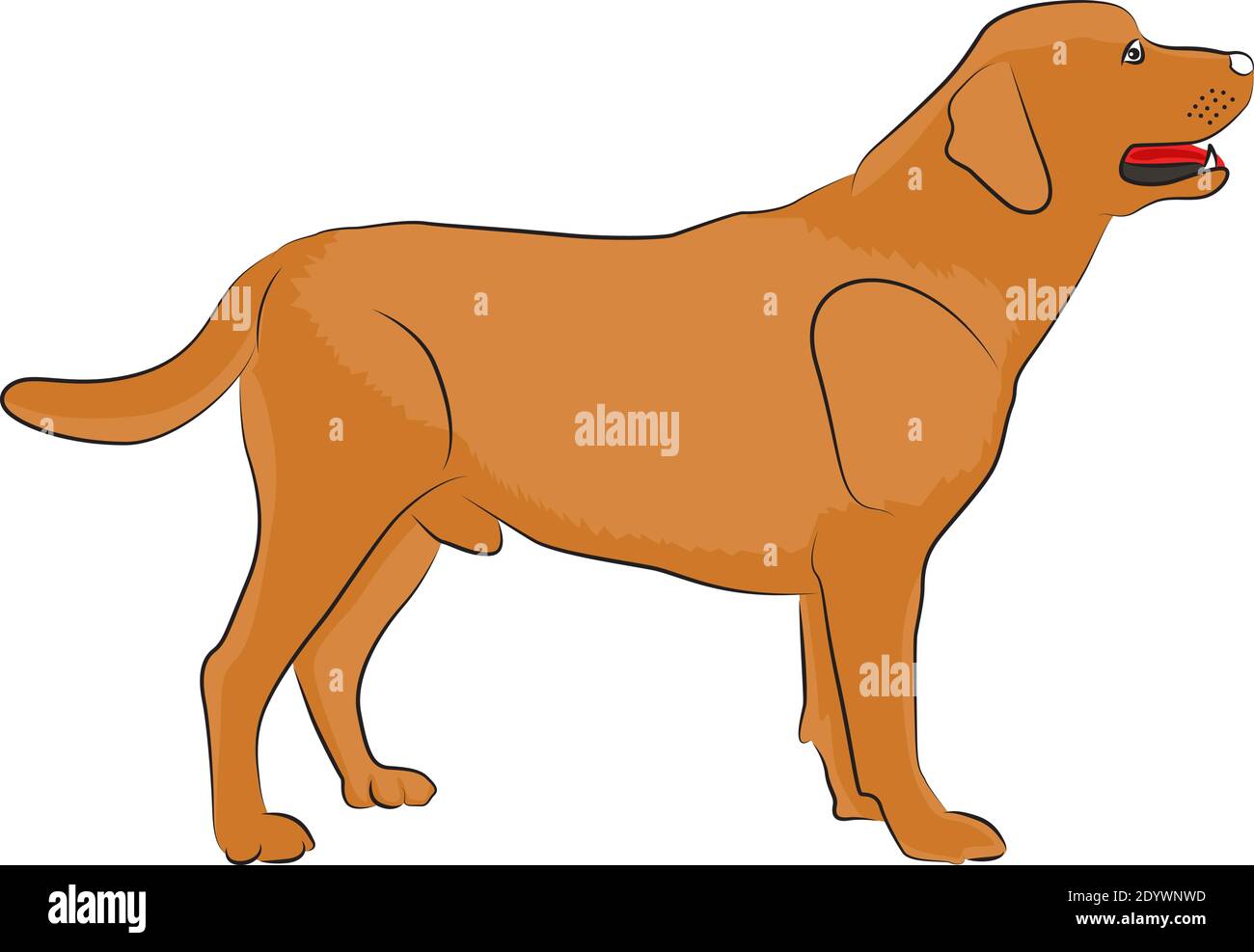Brown calm Stock Vector Images - Alamy