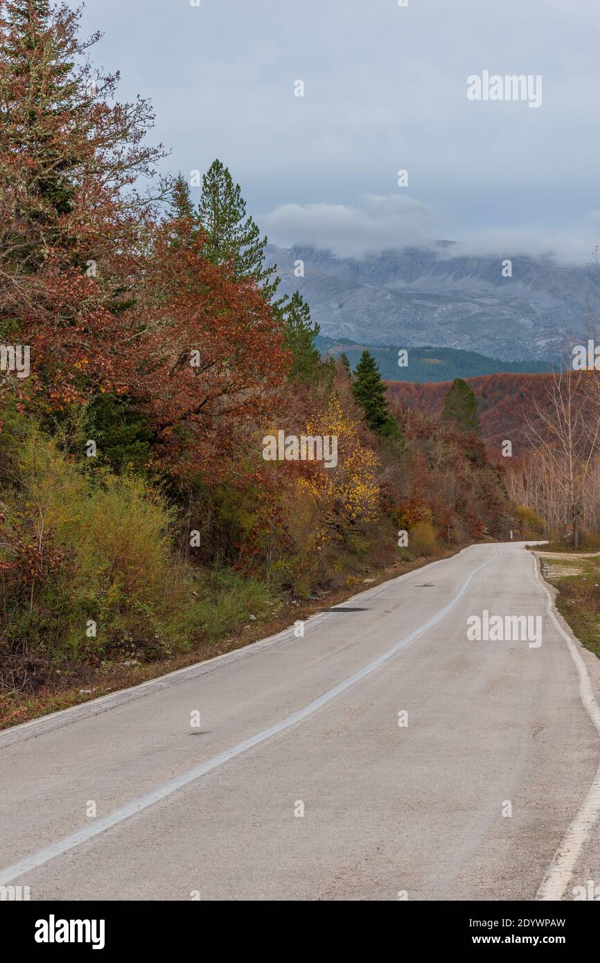 Street view of the forest with fall colours near in zagori epirus ...